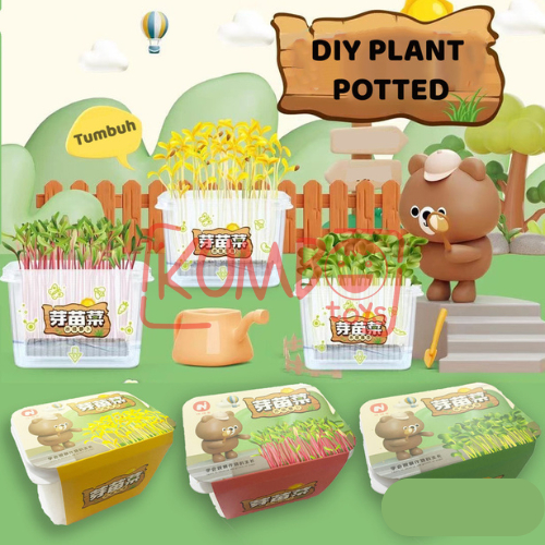 Jual Mainan Edukasi DIY Plant Potted Edukasi Menanam Anak Tumbuhan ...