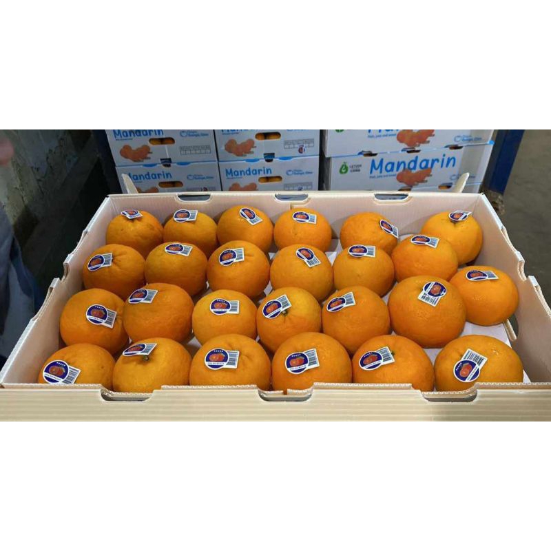 Jual Jeruk Wogan/Jeruk Mandarin Citrus 1 Dus 9kg Seedless Tanpa Biji ...