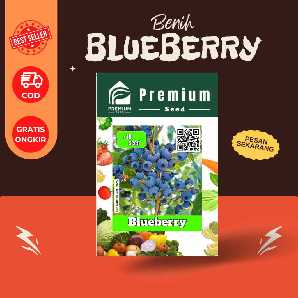 Jual Benih BLUEBERRY Rasa Manis Mudah Tumbuh Buah Lebat | Shopee Indonesia