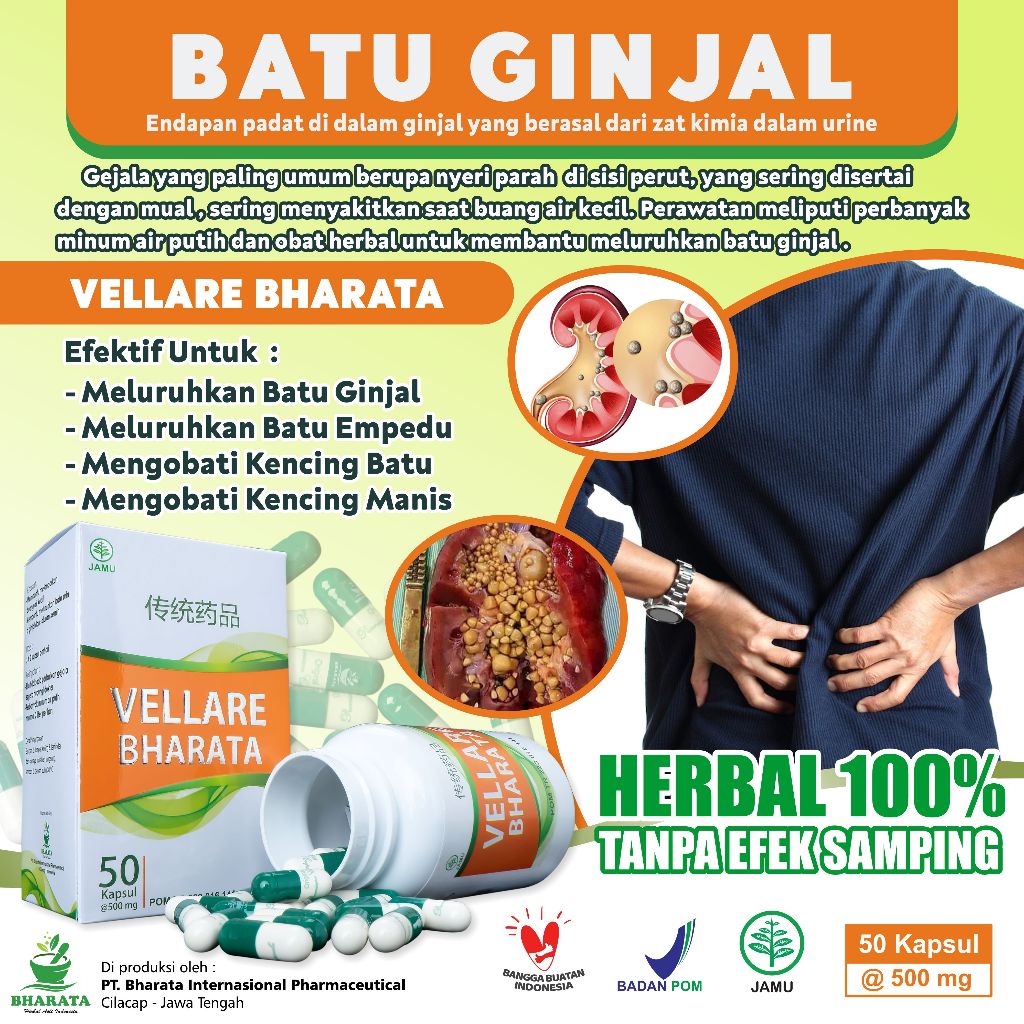 Jual Obat Batu Empedu Paling Ampuh -Obat Peluruh Batu Ginjal - Obat Kencing Batu Vellare Bharata ...