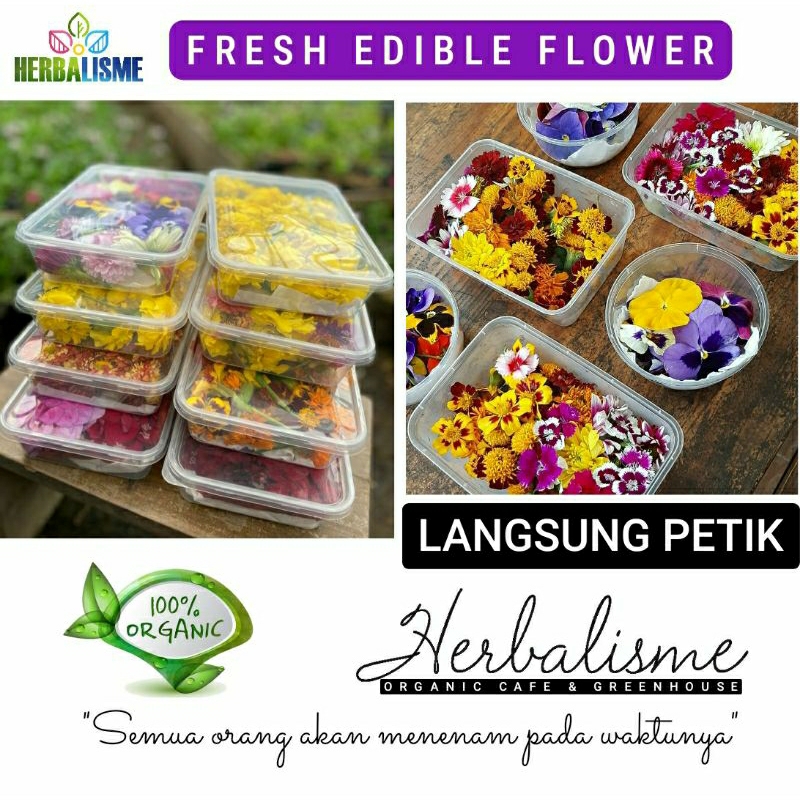 Jual FRESH EDIBLE FLOWER PER PACK | BUNGA RESTO | BUNGA SEGAR | Shopee ...