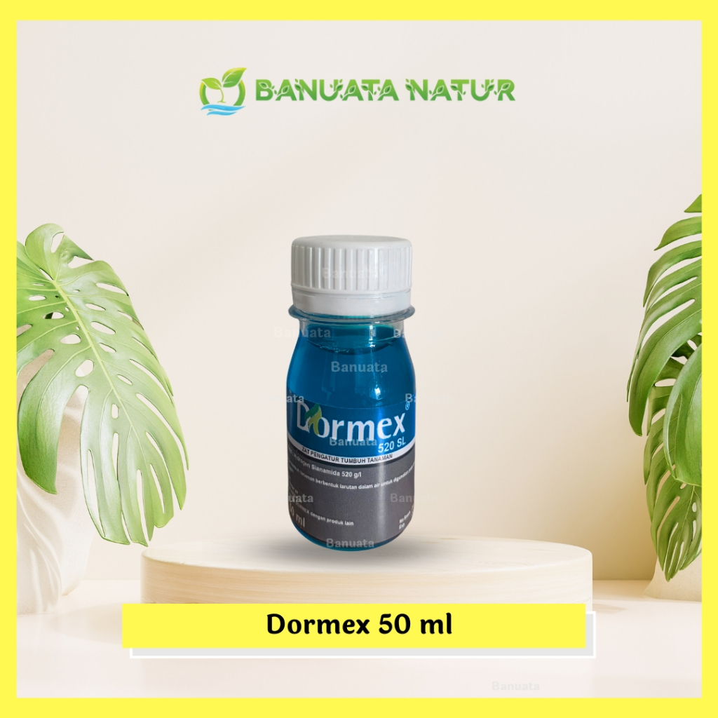 Jual Dormex 50 ml Pupuk Pertumbuhan Tunas Anggur - Berkualitas Banuata | Shopee Indonesia
