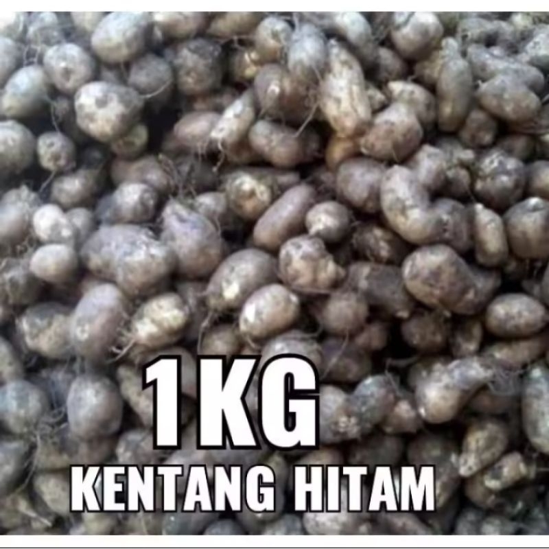 Jual kentang hitam, kentang bulu, kentang Sabrang,kleci 1kg | Shopee ...