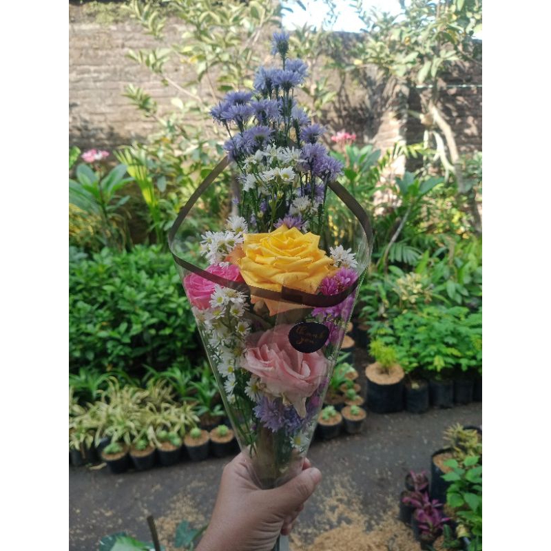 Jual fresh flower bunga buket segar bunga asli | Shopee Indonesia