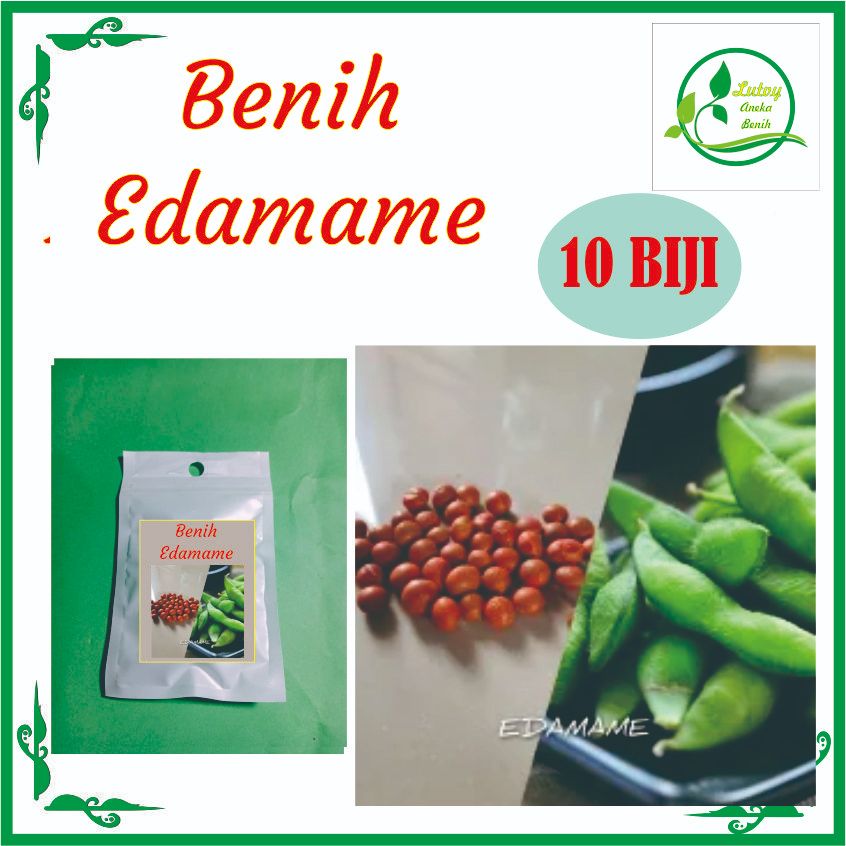 Jual BENIH EDAMAME ISI 10 BIJI | Shopee Indonesia