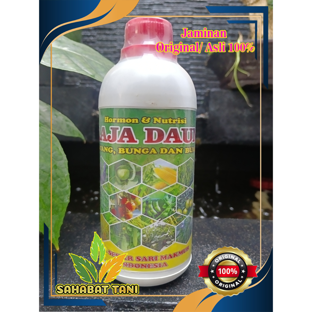 Jual HORMON DAN NUTRISI RAJA DAUN 500 ML - NPK CAIR BATANG, BUNGA, BUAH ...