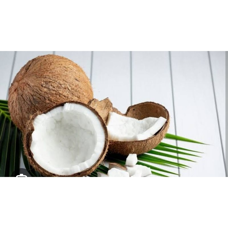 Jual Kelapa Tua (1 Butir) | Shopee Indonesia