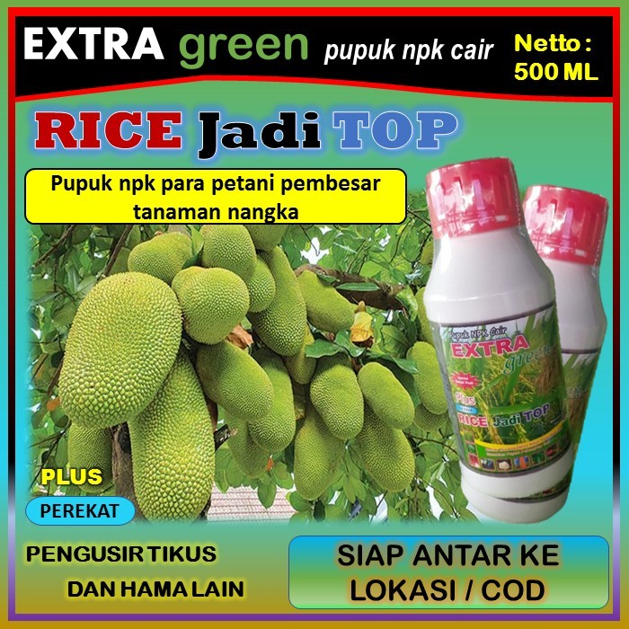Jual Pupuk tanaman nangka npk cair lengkap ( EKTRA GREEN RICE jadi TOP ) 500 ml - pupuk pembesar ...