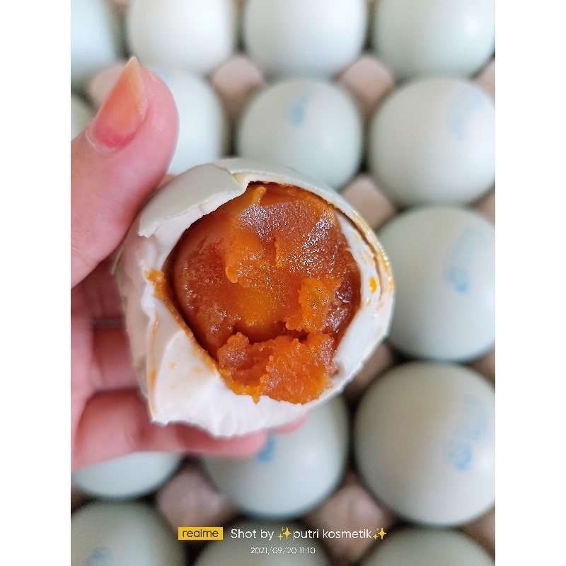 Jual TELUR ASIN KUKUS GOLDEN MASIR (mateng) PREMIUM.. PRODUKSI SENDIRI ...