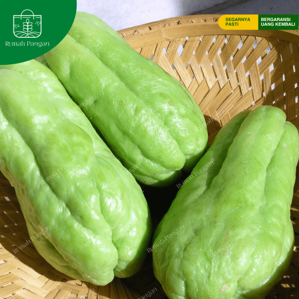 Jual Labu Siam Besar | Shopee Indonesia