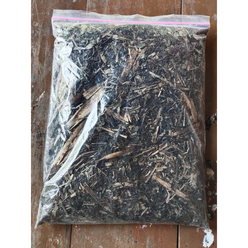Jual Humus bambu fresh dari kebun Harga 5000 Kemasan 1 kg | Shopee ...