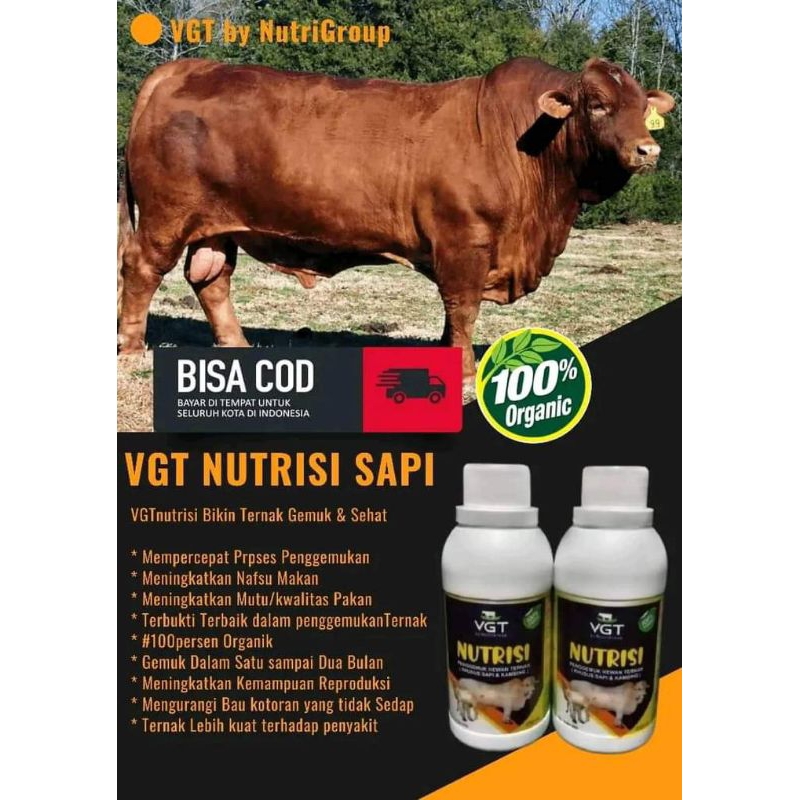 Jual NUTRISI VGT Penggemuk Ternak sapi & kambing | Shopee Indonesia