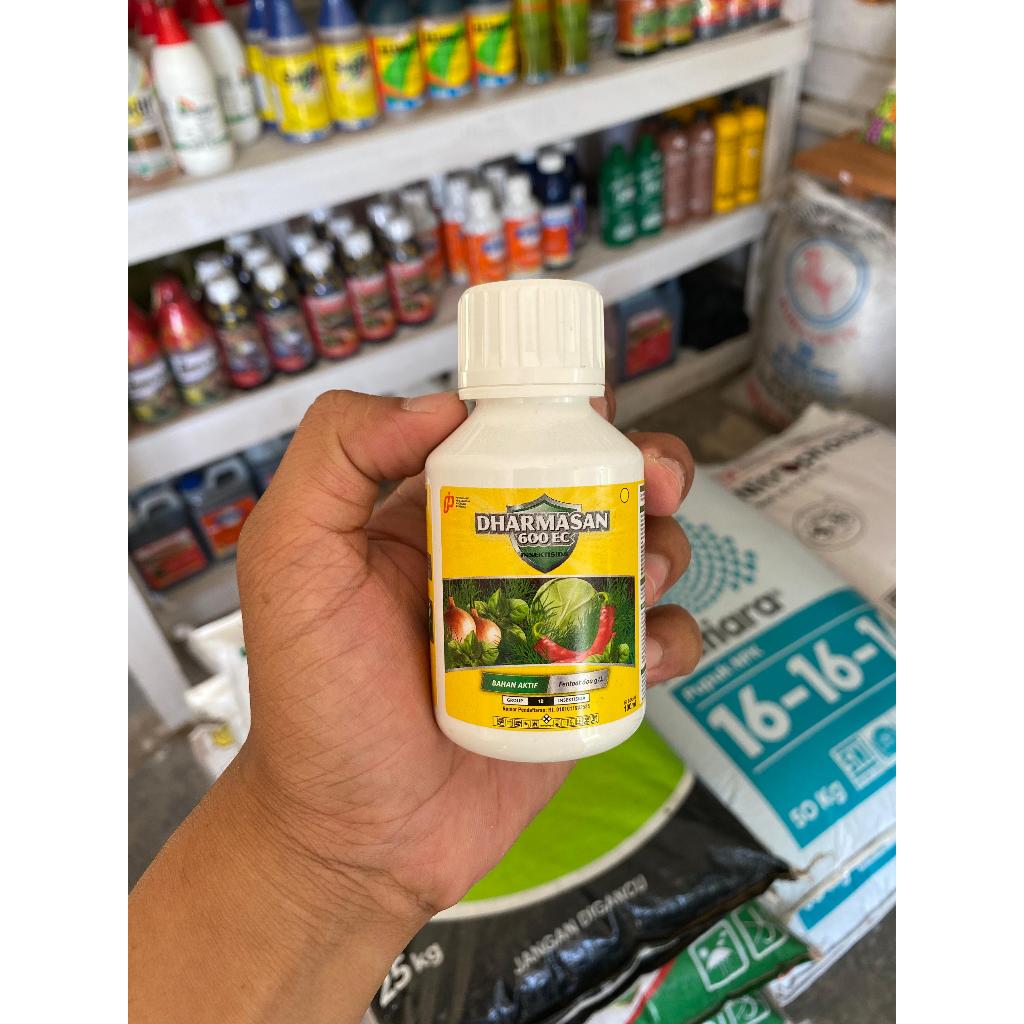 Jual DHARMASAN 600 EC KEMASAN 100 ML INSEKTISIDA | Shopee Indonesia