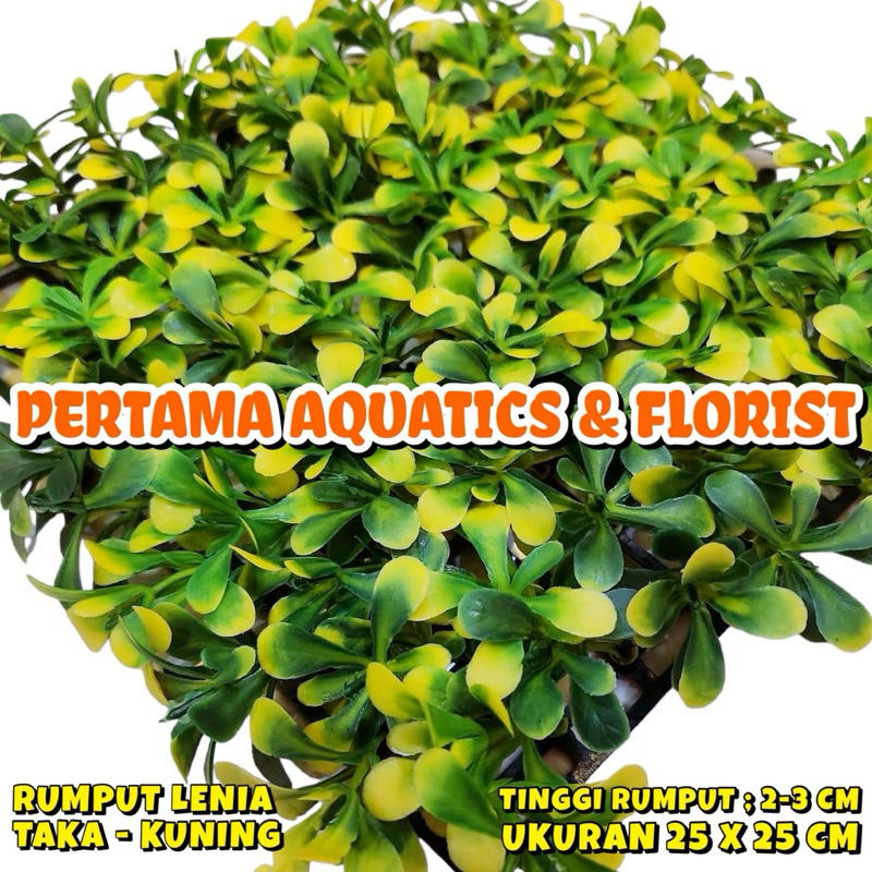 Jual Rumput Lenia-Taka Ukuran 25X25 Cm/ Rumput Aquarium/ Tanaman Hiasan ...