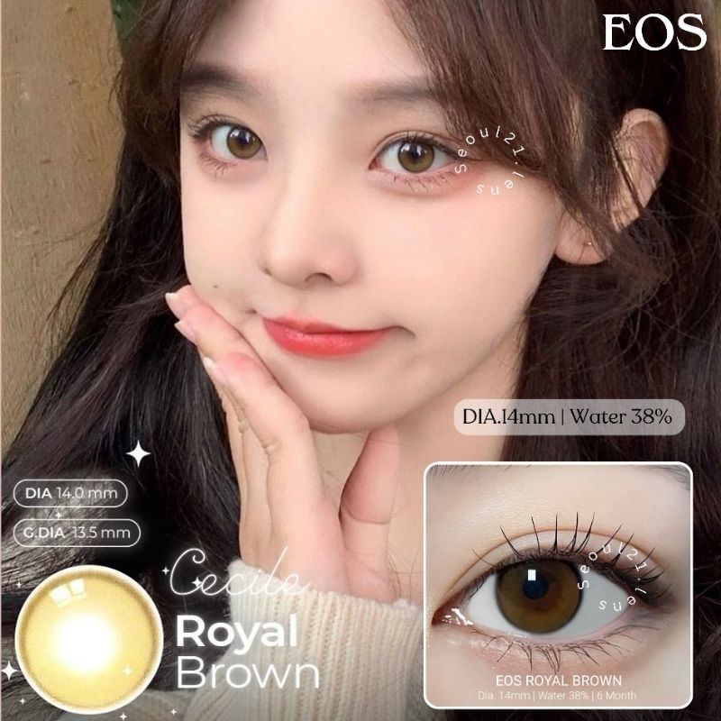 Jual SOFTLENS EOS CECILE ROYAL BROWN 14.00mm MINUS (-0.50 sd -7.00 ...