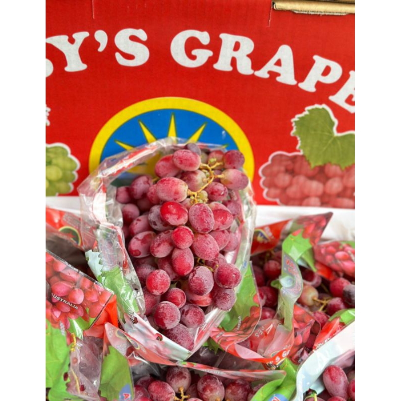 Jual Anggur Red Crimsem Australia 9,5Kg 1Box Seedless Manis | Shopee Indonesia