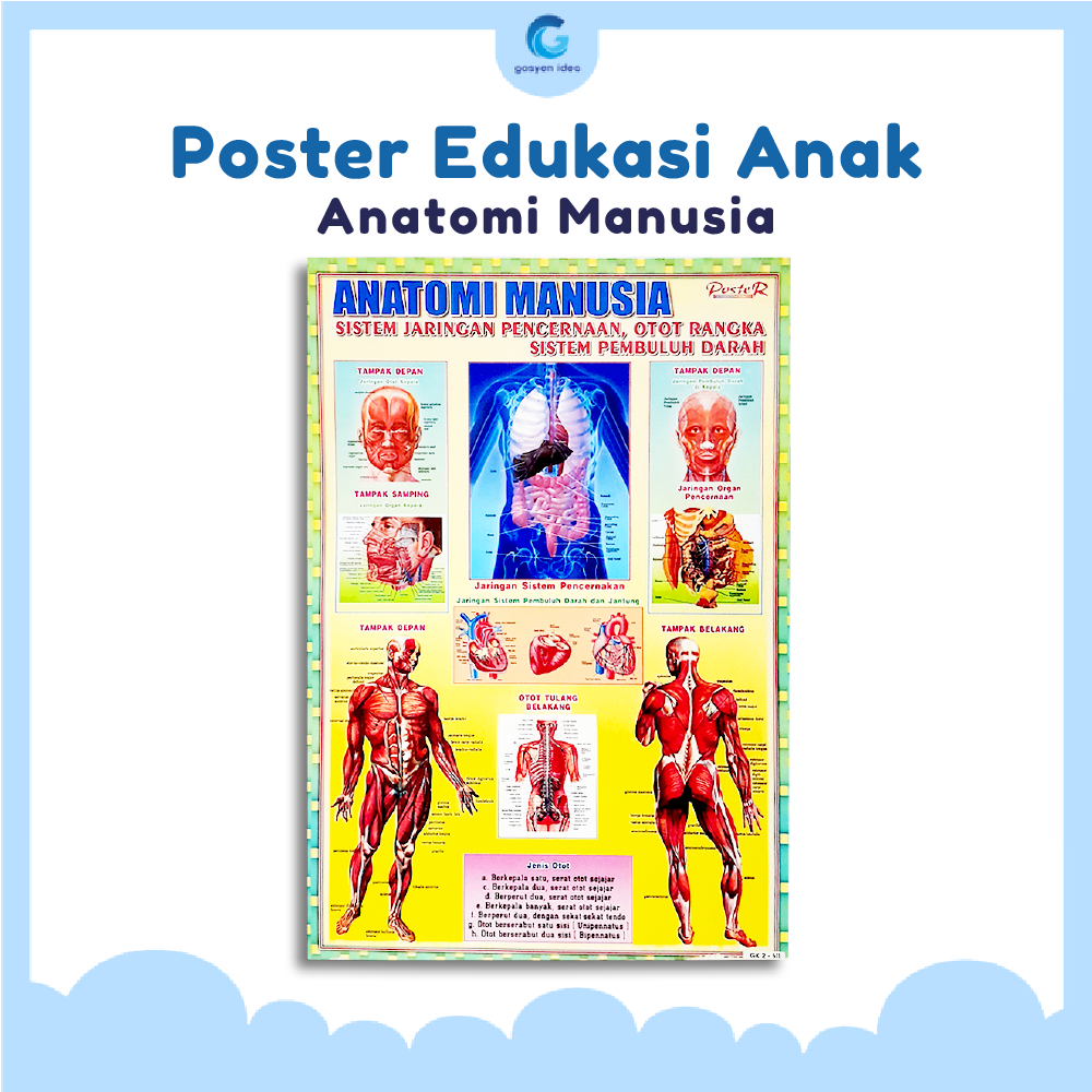 Jual Poster Edukasi Belajar Anatomi Tubuh Manusia | Shopee Indonesia