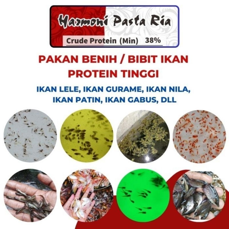 Jual Pakan Benih Ikan Nila Protein Tinggi Biar Cepat Besar | Shopee ...