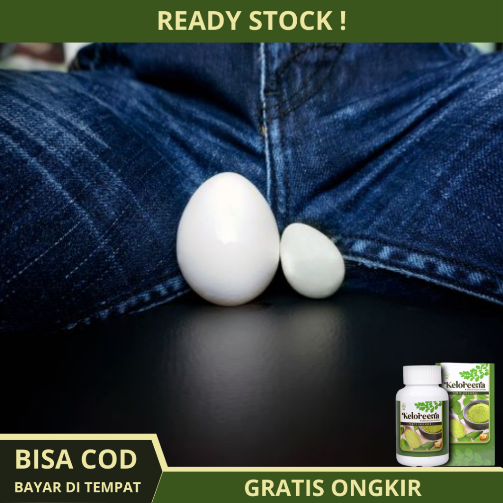 Jual Obat Buah Zakar Bengkak, Buah Zakar Bengkak Sebelah, Nyeri Pada ...