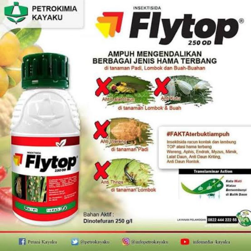 Jual Insektisida Flytop 250 OD 100 Ml | Shopee Indonesia