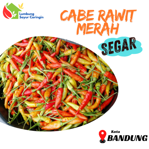 Jual Cabe Rawit Merah / Cengek Domba Segar Bandung | Shopee Indonesia