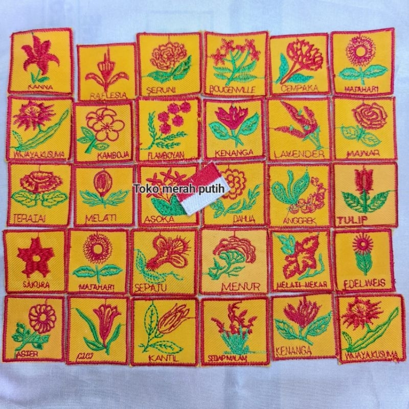 Jual Badge tanda regu Pramuka putra putri variasi lengkap | Shopee ...