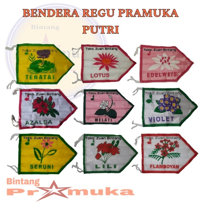 Jual BENDERA REGU PRAMUKA PUTRI / BENDERA REGU PRAMUKA BUNGA | Shopee ...