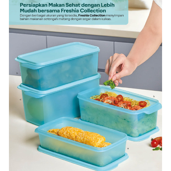 Jual Wadah Simpan Sayur - Lauk Pauk - Buah di Kulkas - Freshia ...