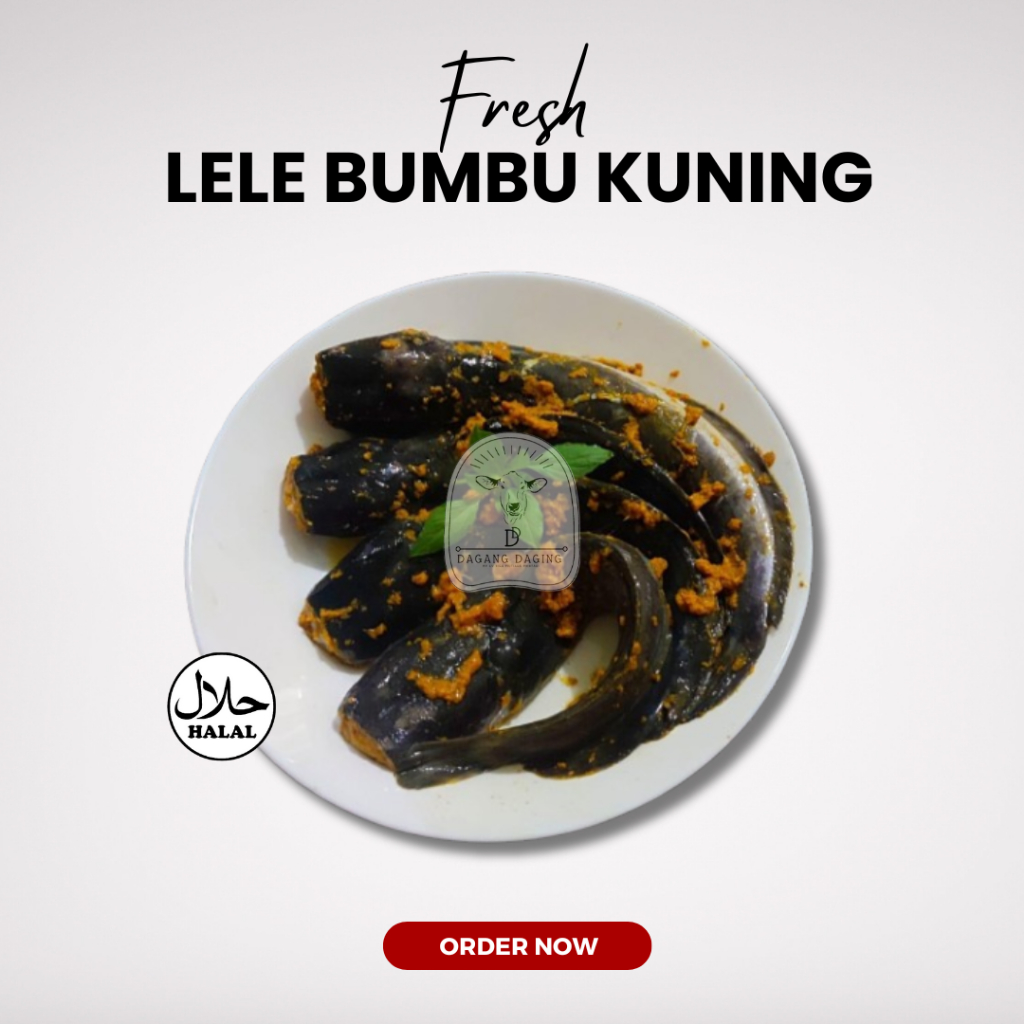 Jual Ikan Lele Fresh Bumbu Kuning isi 4 Siap Goreng | Shopee Indonesia