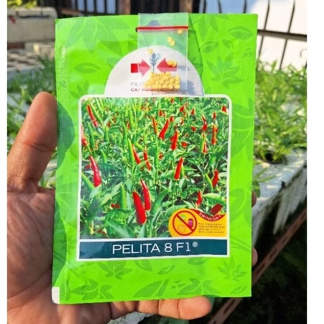 Jual Benih Bibit Cabe Rawit Setan Cabe Japlak Cabe Rawit Caplak Kemasan Repack Original