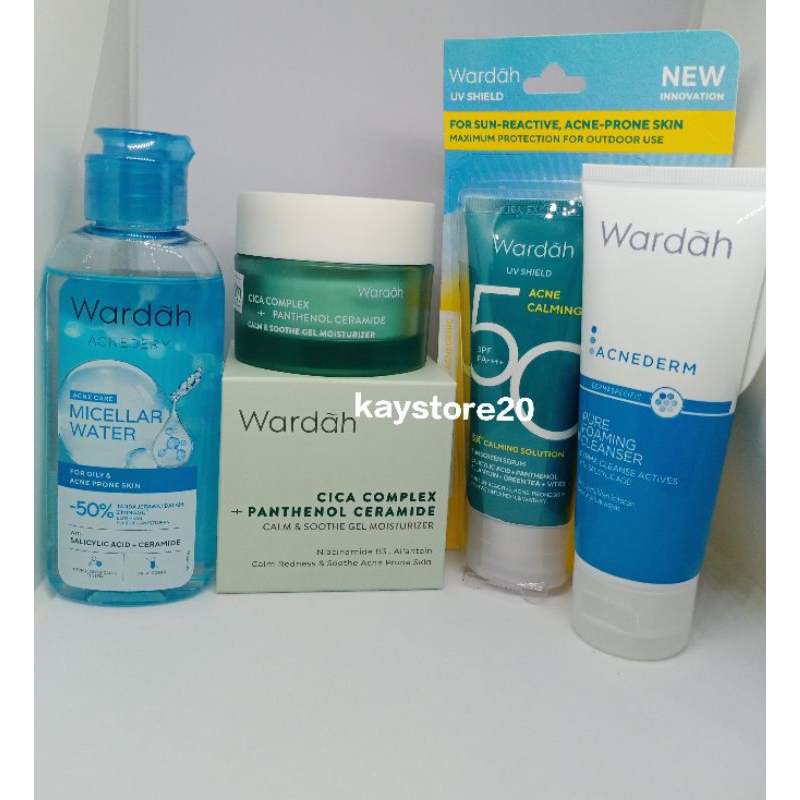 Jual WARDAH PAKET BASIC SKINCARE 4IN 1 (kulit berjerawat & berminyak ...