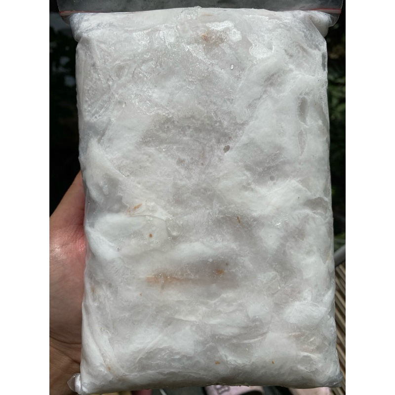 Jual Kelapa Muda Degan Frozen 1kg | Shopee Indonesia