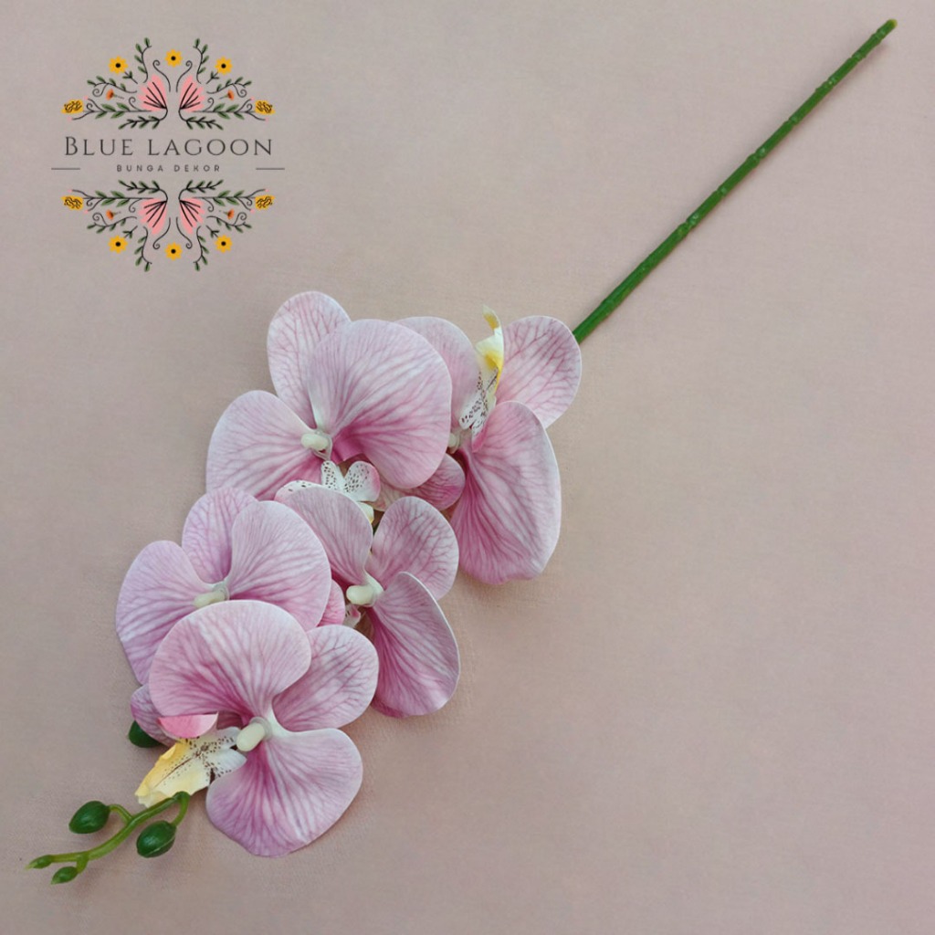 Jual Anggrek Latex K5 Real Touch Large Orchids Premium Bunga Anggrek ...