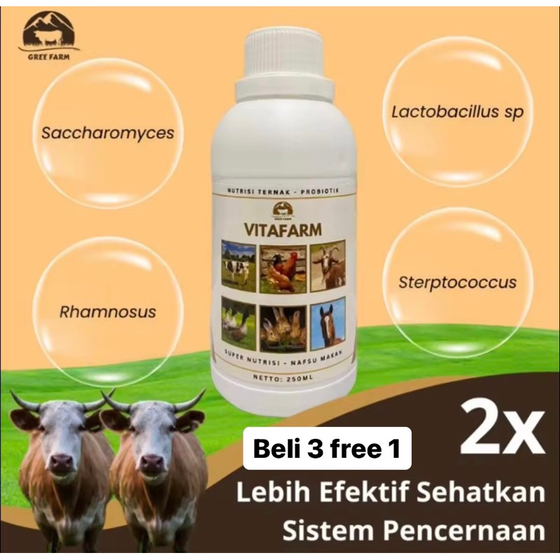 Jual Vitaparm antibiotik herbal untuk ternak sapi babi nutrisi ...