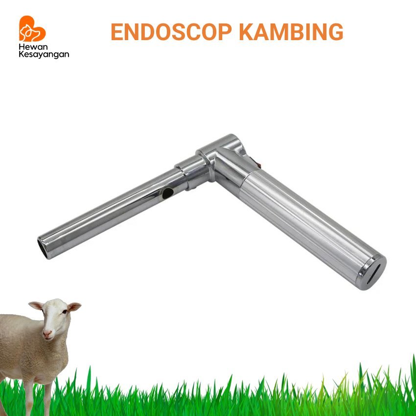 Jual Vaginoscope Speculum Alat Inseminasi Buatan IB Endoscope Kambing Domba dll | Shopee Indonesia