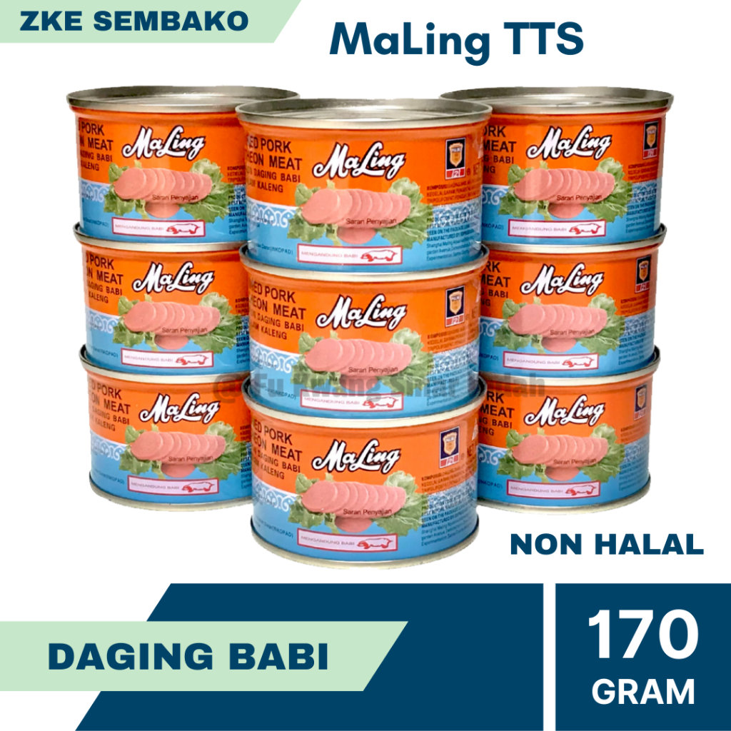 Jual MaLing TTS / Ma Ling Canned Pork Luncheon Meat 170gr | Shopee ...