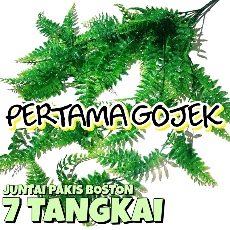 Jual JUNTAI PAKIS BOSTON X7/ Bunga Plastik/ Bunga Artificial/ Bunga ...