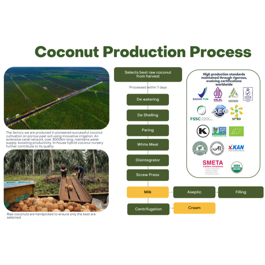 Jual Nobo UHT Coconut Milk Drink Barista Grade 1 L | Minuman Susu ...