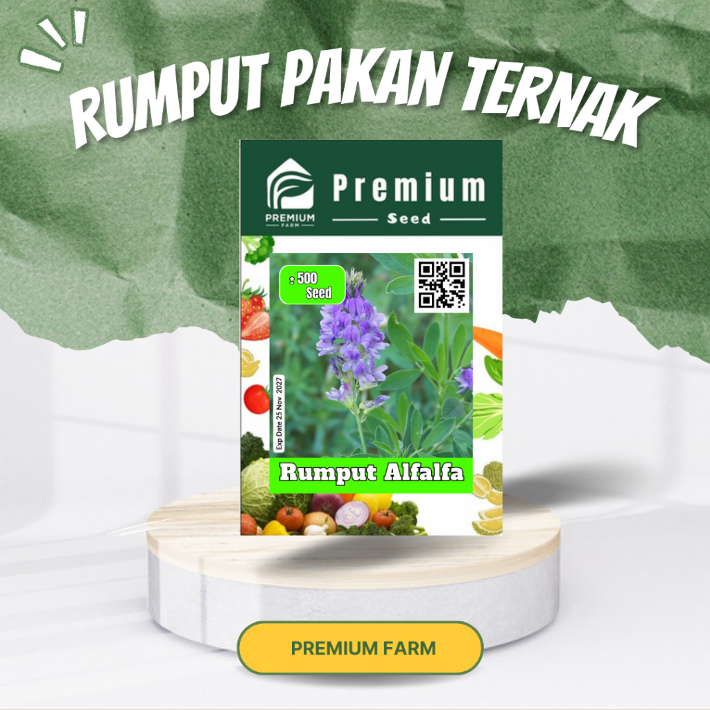 Jual Benih RUMPUT ALFALFA Premium Farm Rumput Pakan Ternak | Shopee ...