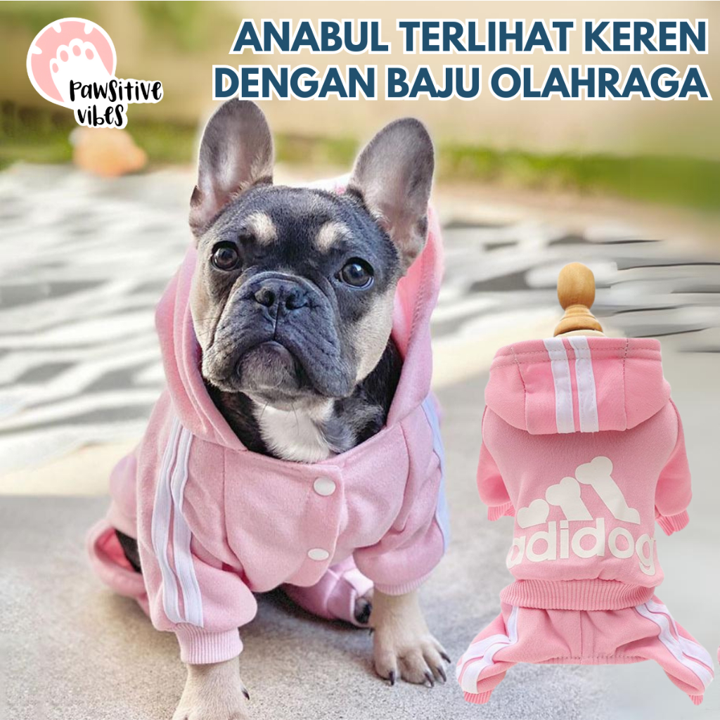 Jual ADIDOG Set Baju + Celana Anjing Kucing - Kaos Olahraga Anjing Kucing - Pakaian Olahraga ...