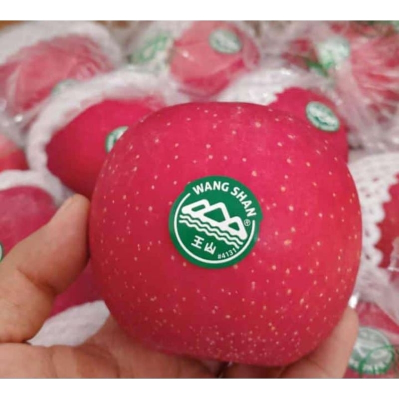 Jual APPLE FUJI WANG SHAN PREMIUM | Shopee Indonesia