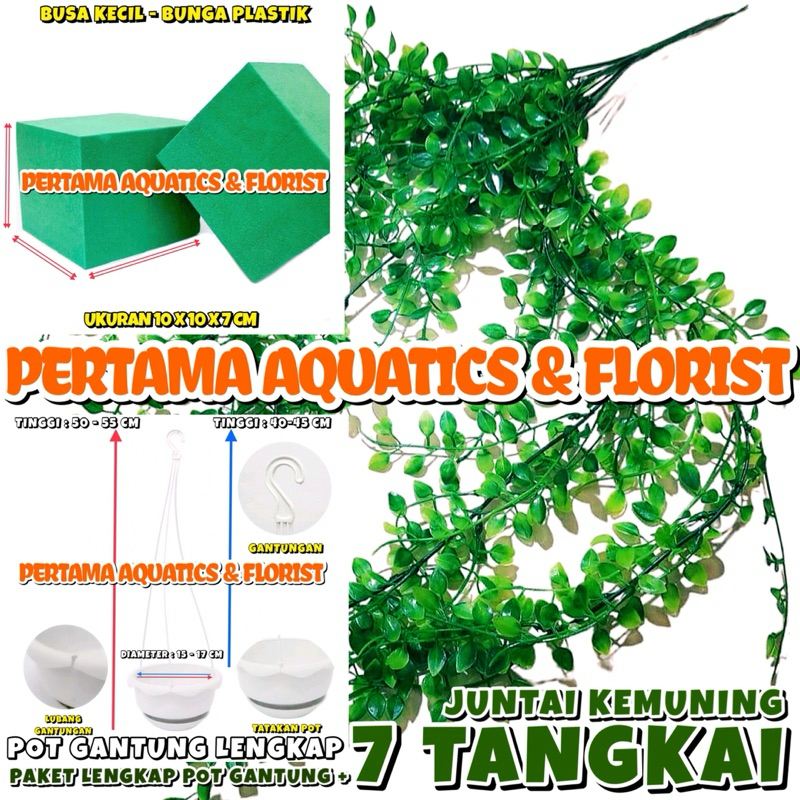 Jual Paket Lengkap Pot Juntai Kemuning X7/ Bunga Merambat Plastik ...