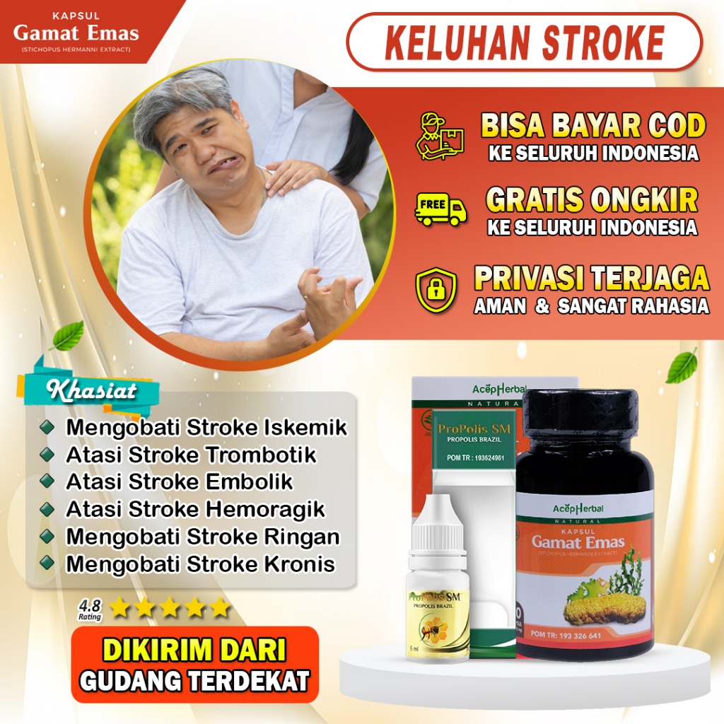 Jual Obat Stroke Iskemik Atasi Stroke Trombotik Embolik Hemoragik ...