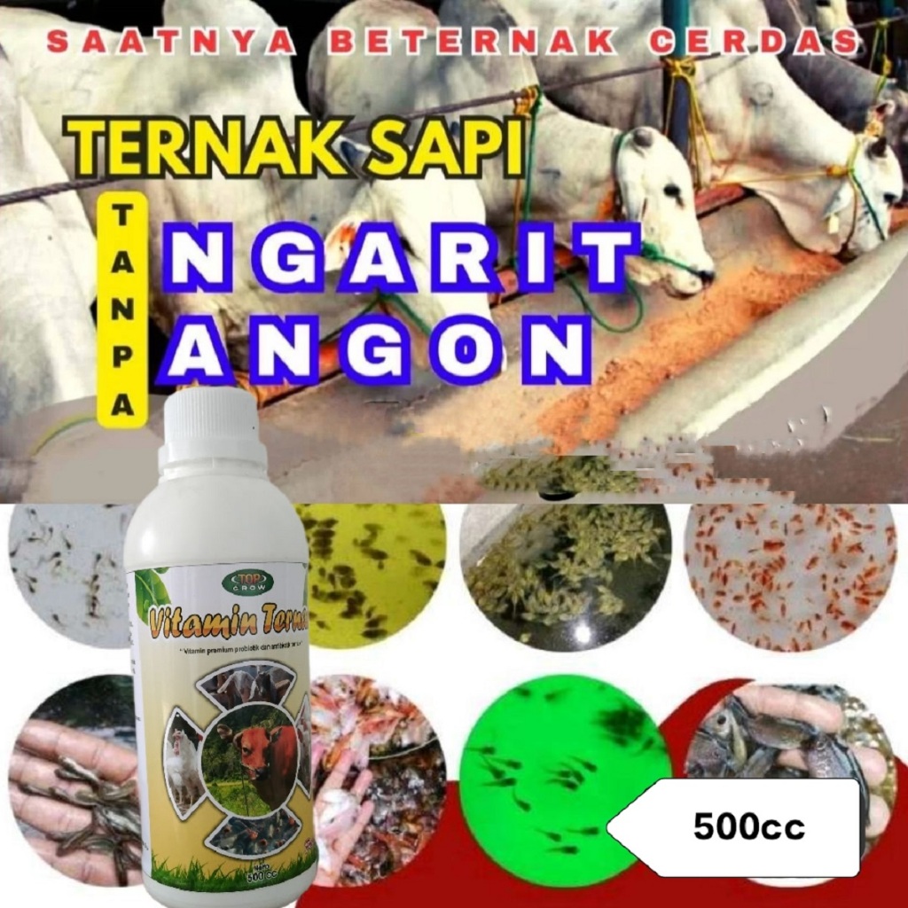 Jual VITAMIN TERNAK 500CC penggemuk kambing, sapi, dan hewan ternak ...