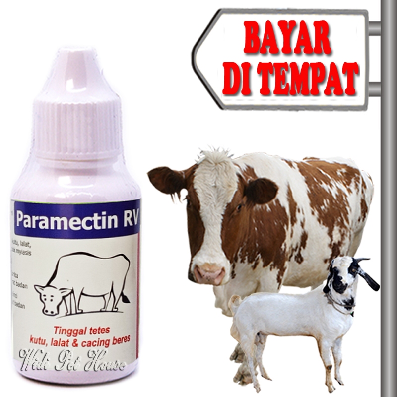Jual Obat Anti Kutu Sapi Kerbau Kambing Domba Kuda Tetes Paramectin RV ...