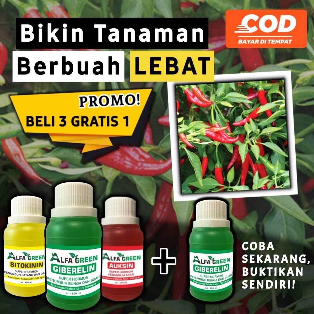 Jual Hormon Tanaman Penmbuh Akar batang dan daun Beli 3 gratis 1 ...