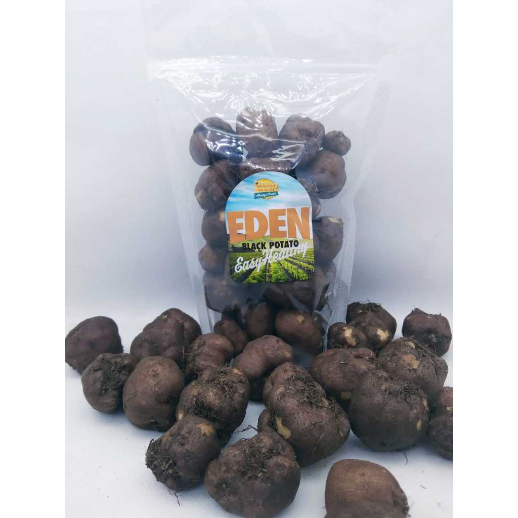 Jual Nandori Garden Kentang Hitam Premium Bersih Pack | Shopee Indonesia