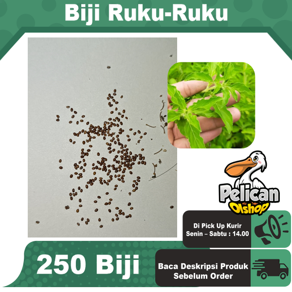 Jual Biji Dari Tanaman Daun Ruku-Ruku 250 Pcs | Shopee Indonesia