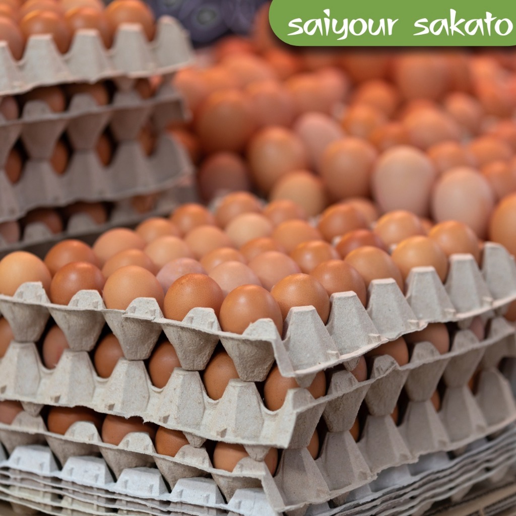 Jual Telur Ayam Ras / Telur Ayam Negeri - Saiyour Sakato | Shopee Indonesia