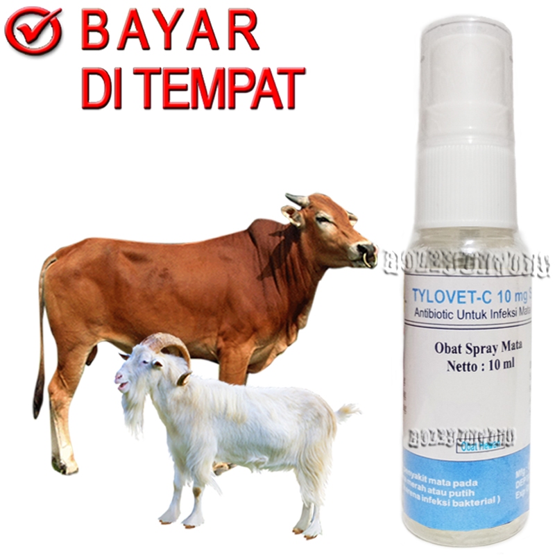 Jual TYLOVET C Spray Obat Mata Sapi Kambing Sakit Infeksi Bengkak Merah ...